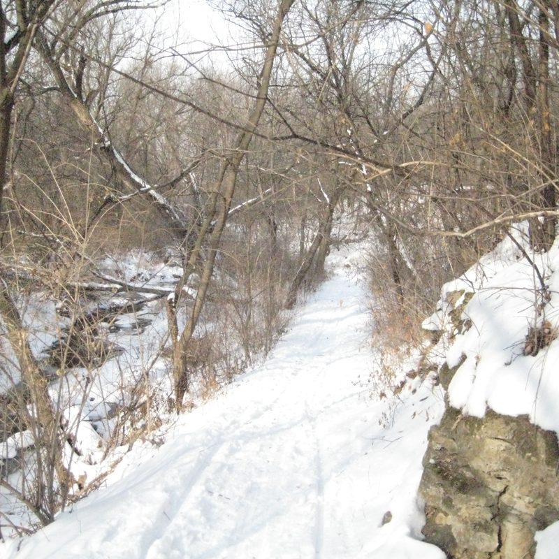 Enjoy Winter in the Carleton Arboretum – Neighborhood Connections ...