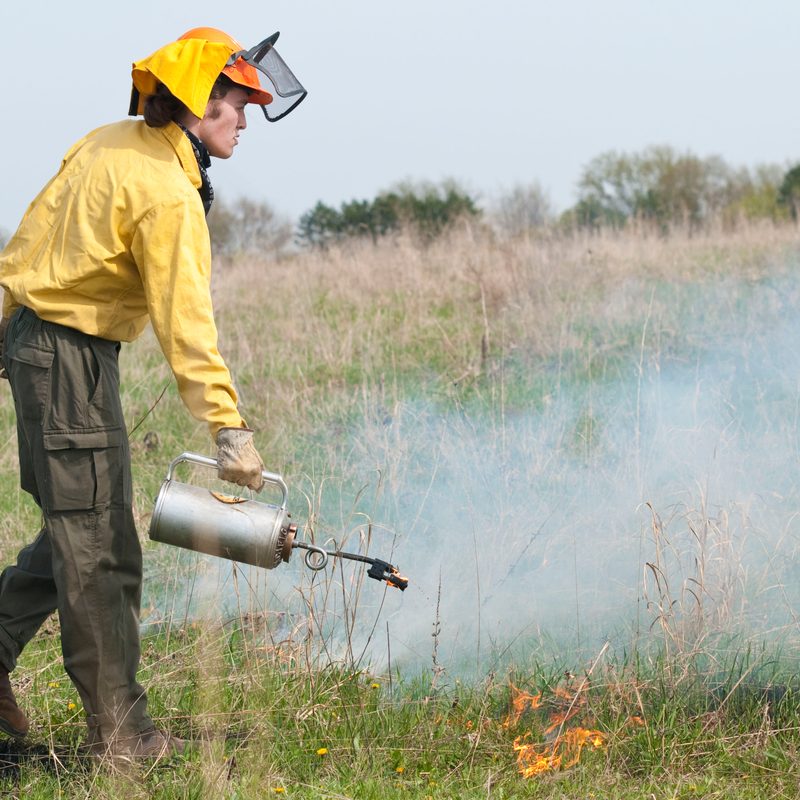 Prescribed Burns Planned for Arboretum – Neighborhood Connections ...