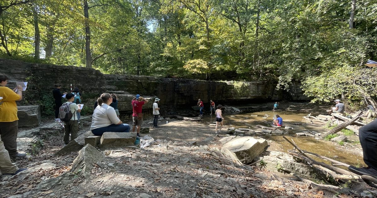 Field Notes and Fun Times: My Introduction to Geology