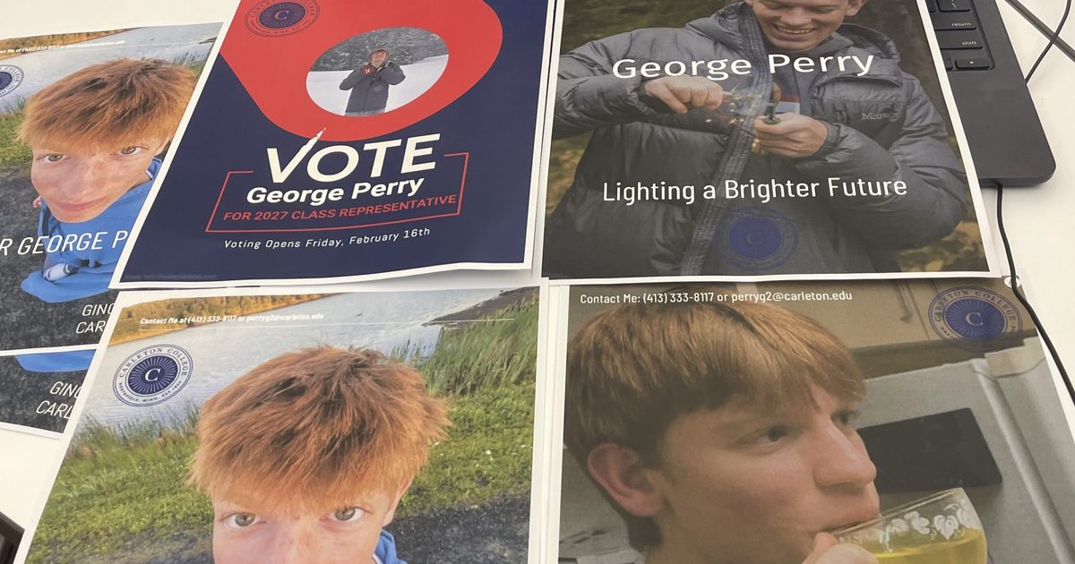 Election Endeavors: Inside the Race for Class Representative