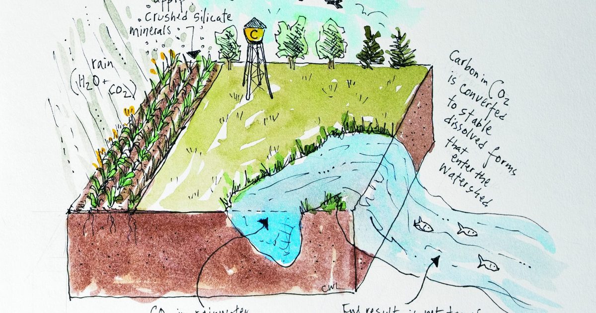 Ground-Level Research on Carbon Removal