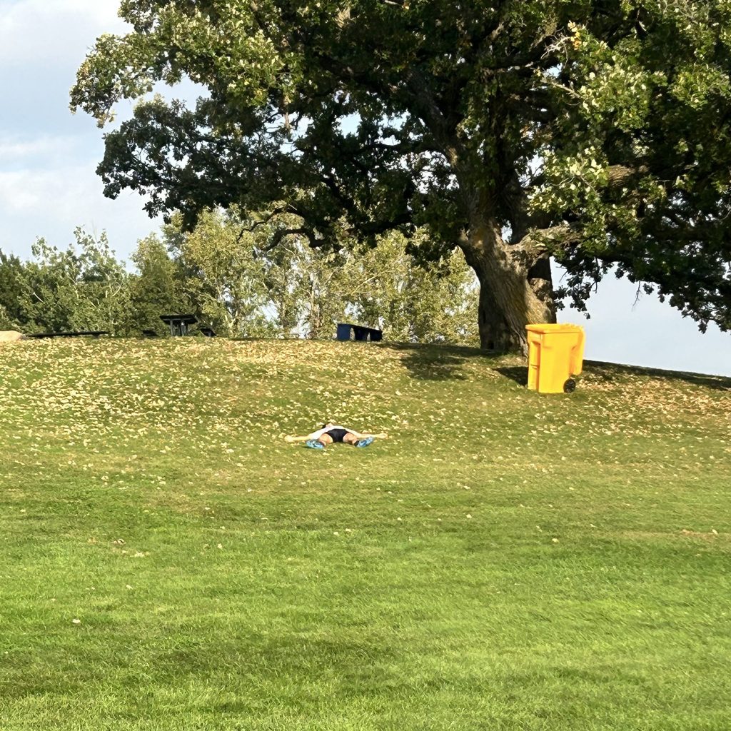 Snoozing around Campus: An Expert’s Guide to Napping Spots