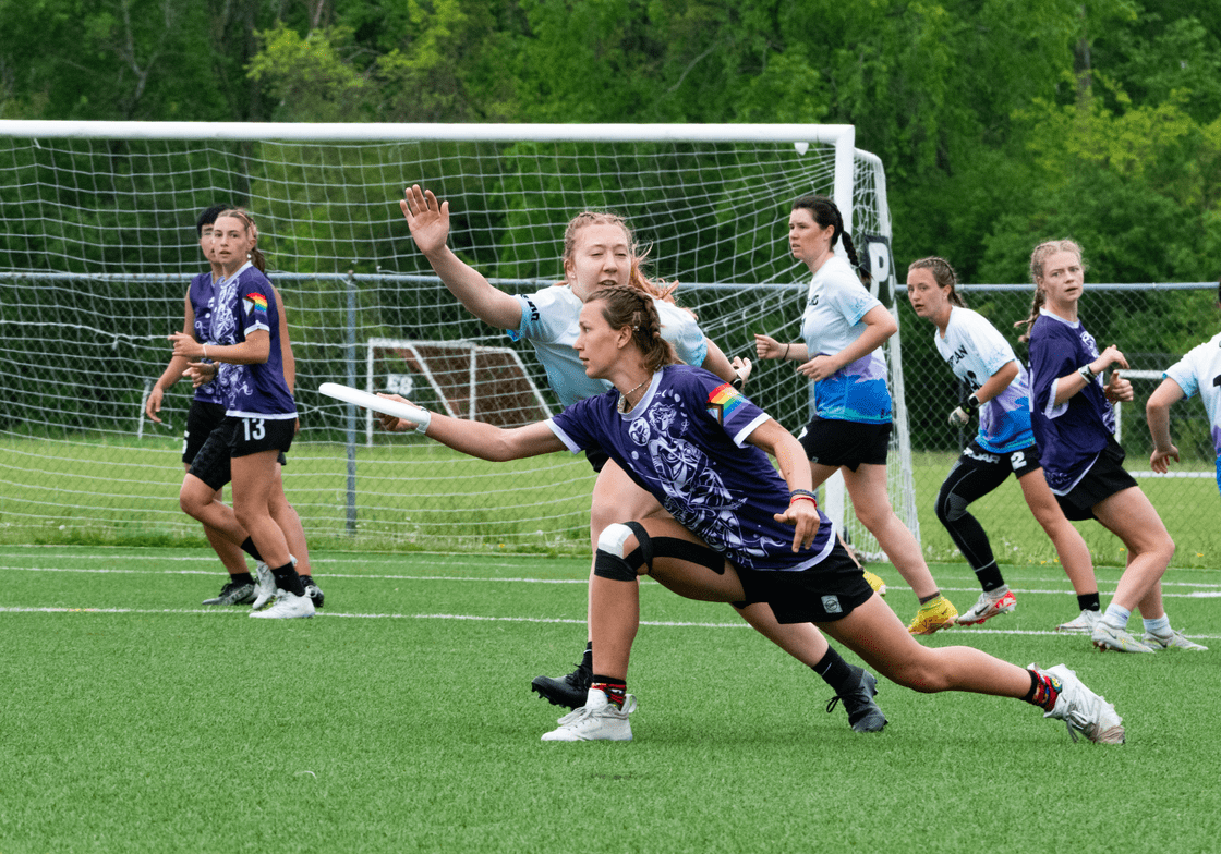 Summer Liberal Arts Institute – Carleton College