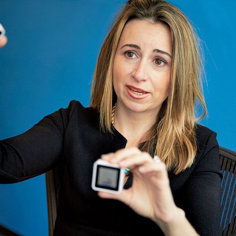 The Electric Brain – Carleton Integrated Math & Science – Carleton College