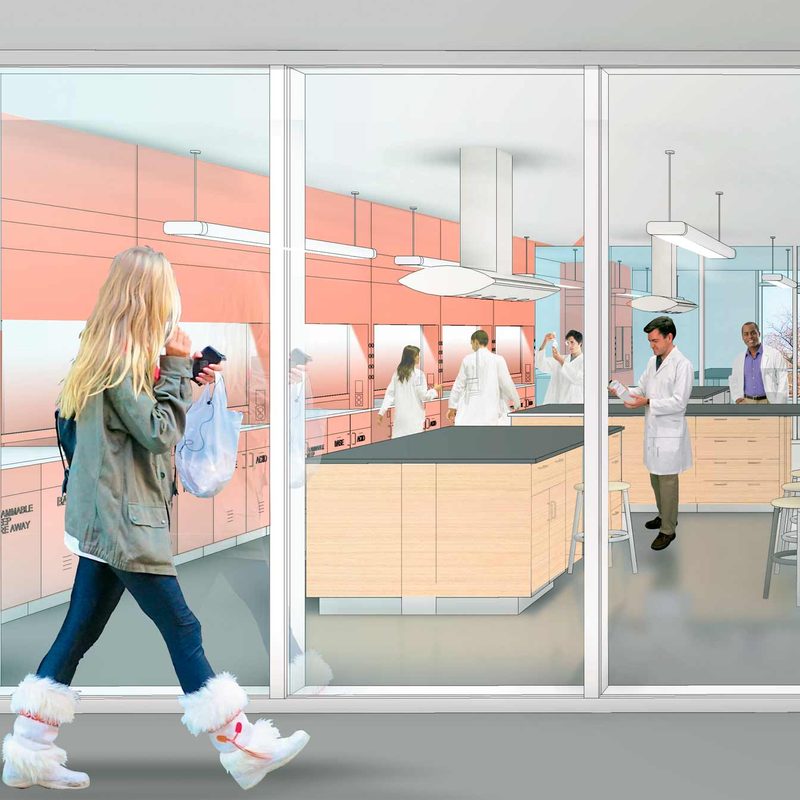 Synthesis – Carleton Integrated Math & Science – Carleton College