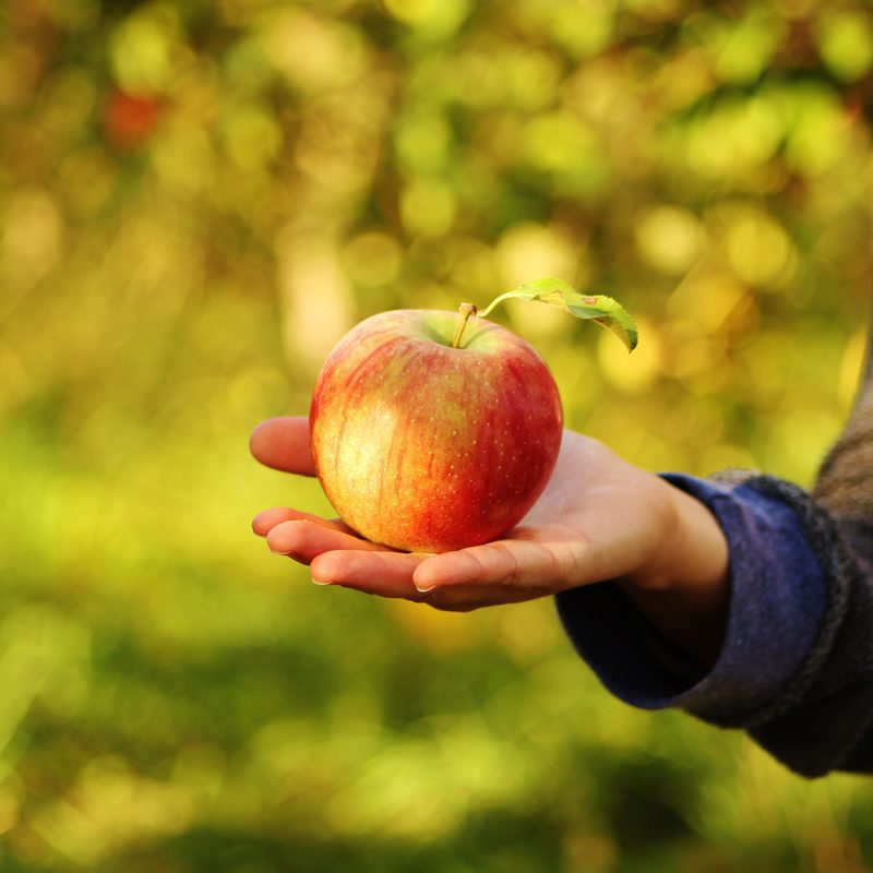 Additional Resources – Faculty/Staff Wellness – Carleton College