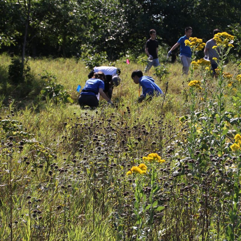 Arbor – Center for Community and Civic Engagement – Carleton College