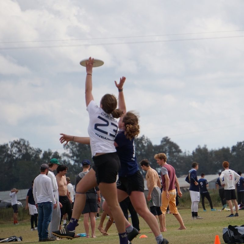 Keep Reaching for the Disc – Carl2020 – Carleton College