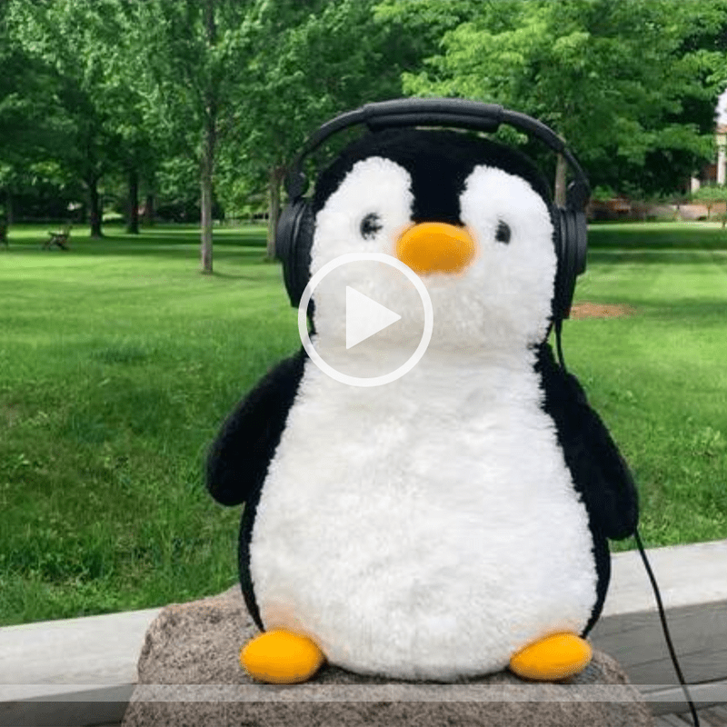 Congrats from the Lab Mascot! – Carl2020 – Carleton College