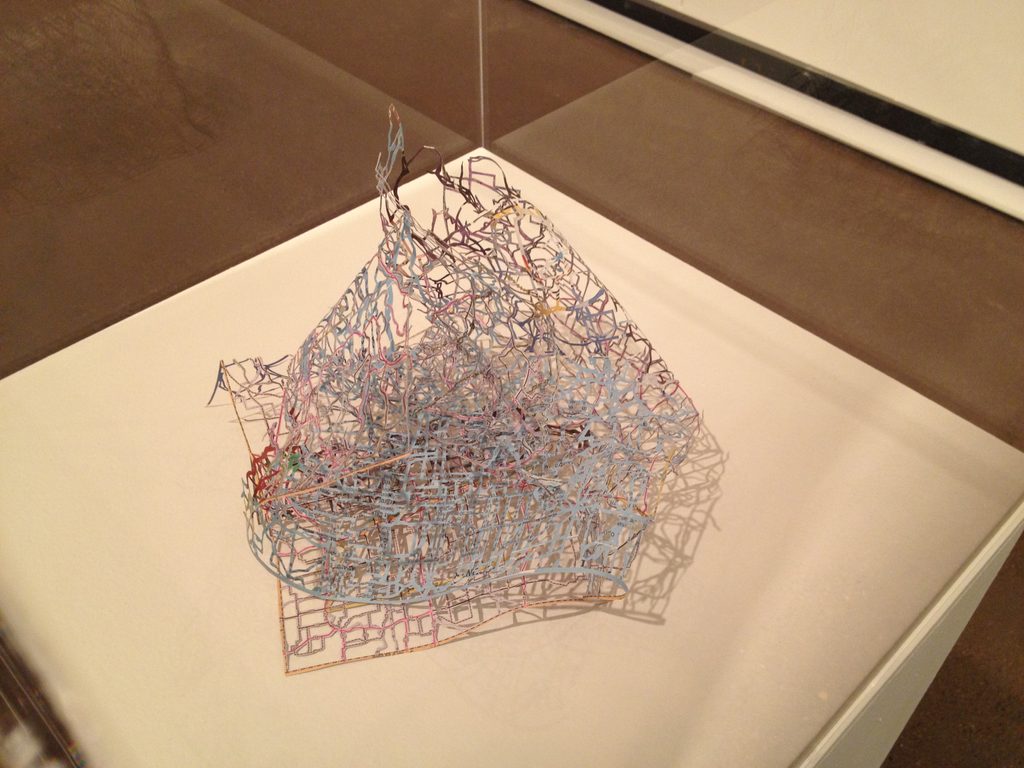 Camille Coonrod – 2015 Senior Art Show – Carleton College