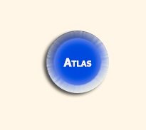 Statistical Atlas – Sampling the Census – Carleton College