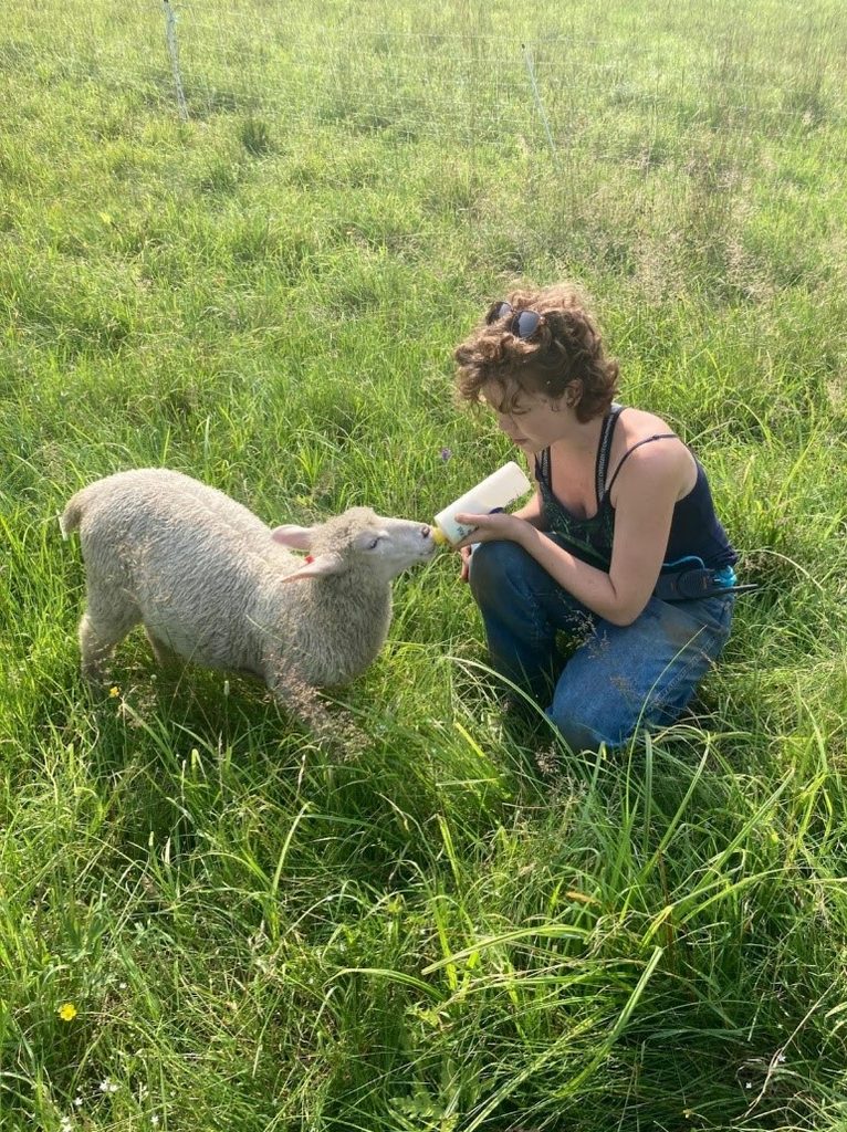 Staff & Student Highlights – Student Life Newsletter – Carleton College