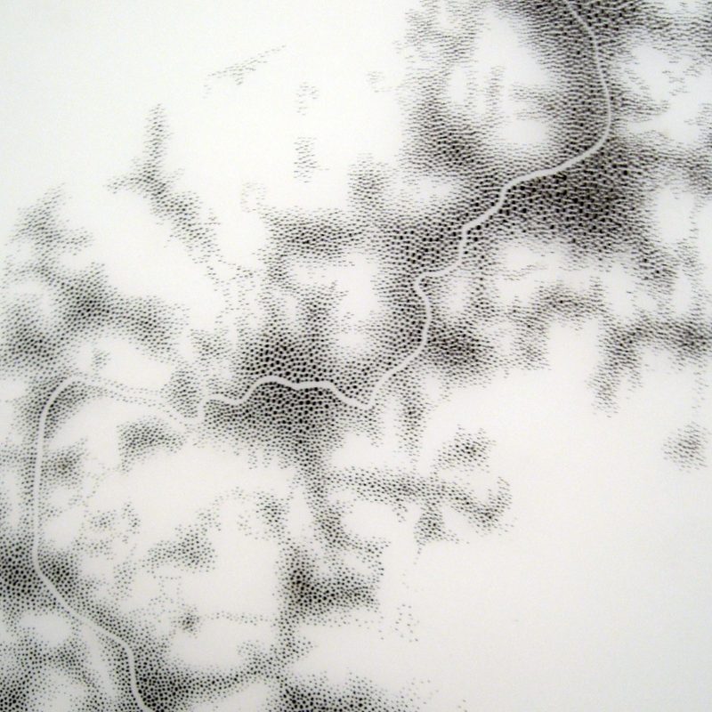 Elissa Brown – Senior Show 2010 – Carleton College