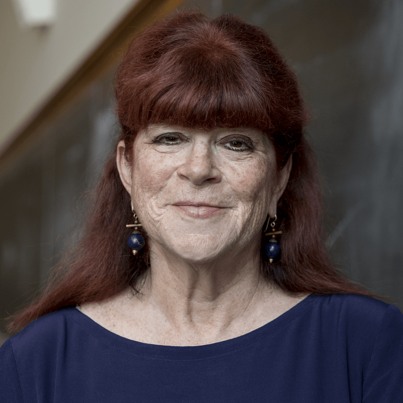 Professor Deborah Appleman on her new book, “Words No Bars Can Hold ...