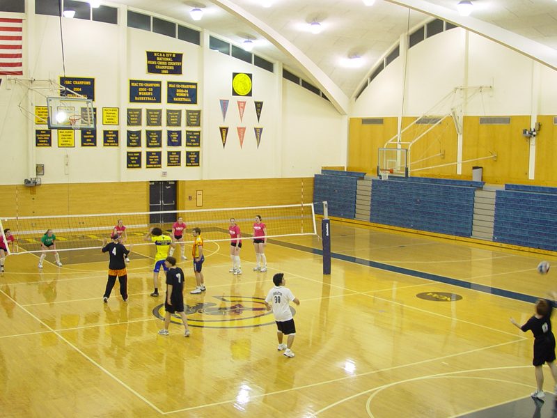 Mens’ and Womens’ Volleyball Teams Face Off – News – Carleton College