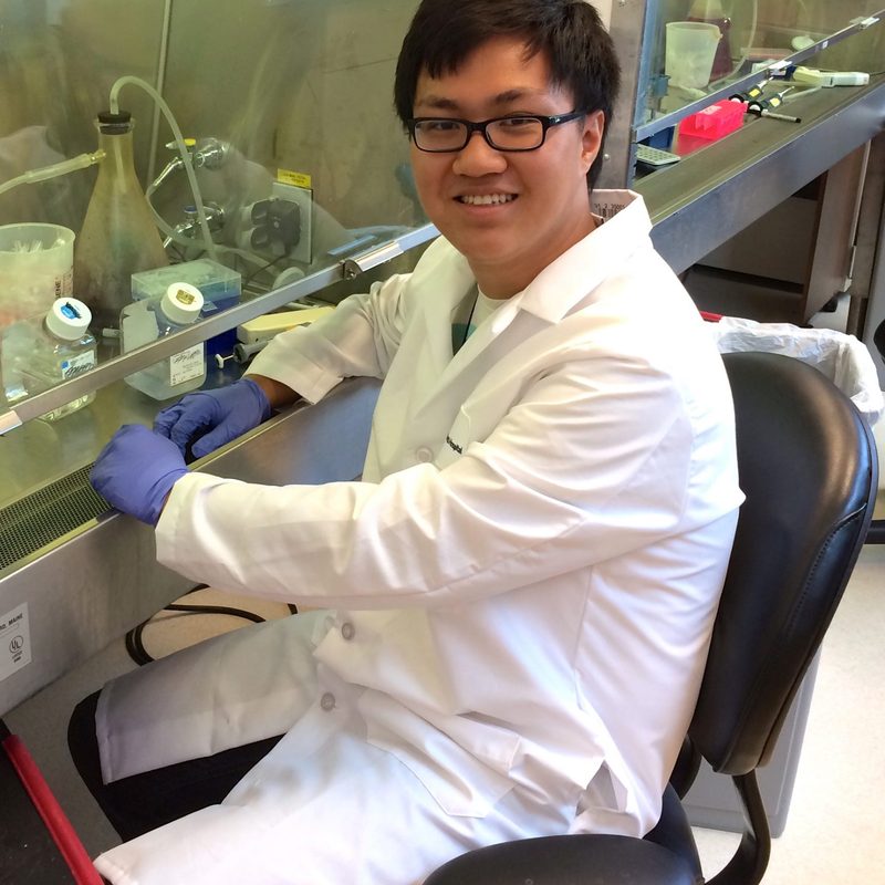 Rising Junior Bing Shui ’16 Awarded Harvard Stem Cell Institute ...