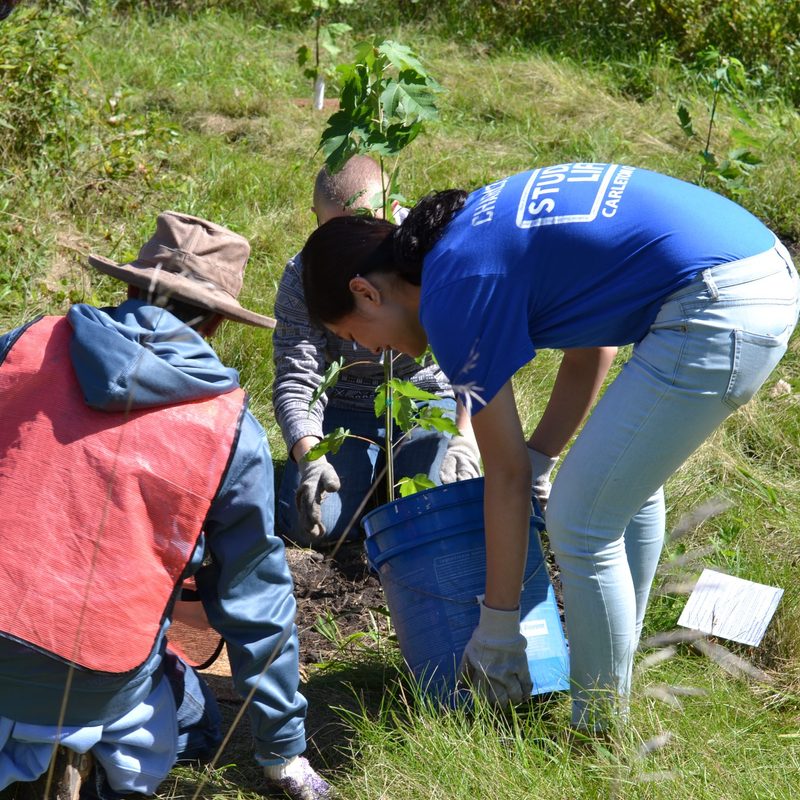 The Arb: Carleton’s Cowling Arboretum – News – Carleton College