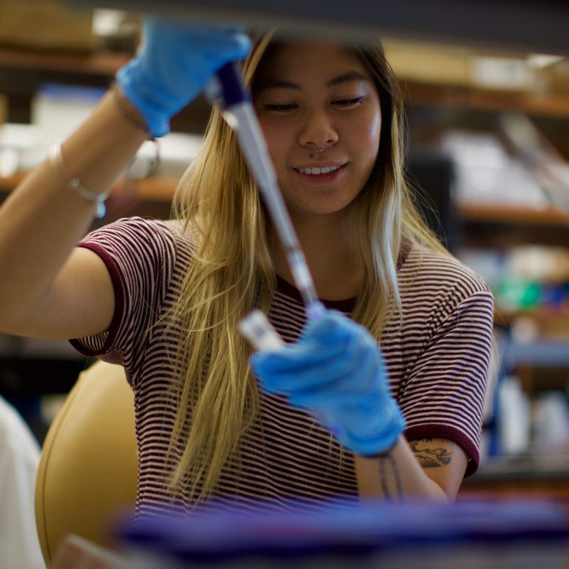 ‘Shared effort’ drives Pittsburgh lab internship for Carls – News ...