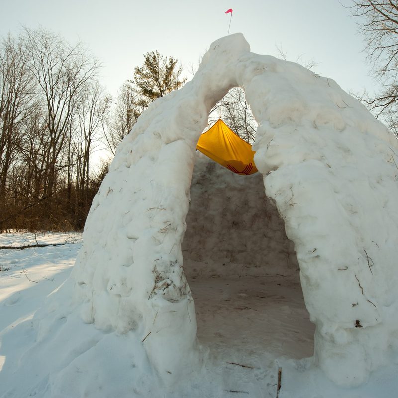Photo Feature: Igloo in the Arboretum – News – Carleton College