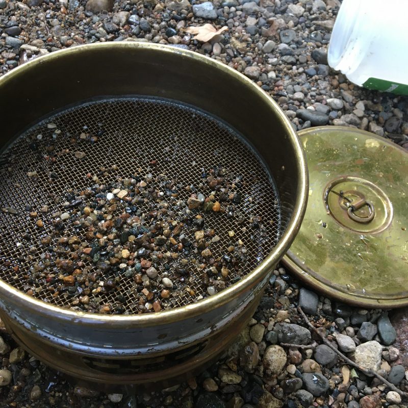 Comps Insider: The Princess and the Pea Clam – News – Carleton College