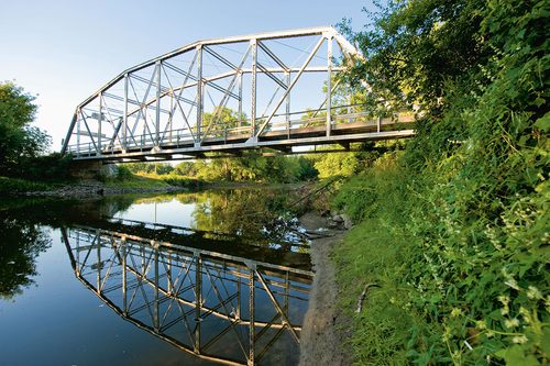 Field Guide: Cowling Arboretum and McKnight Prairie – News – Carleton ...