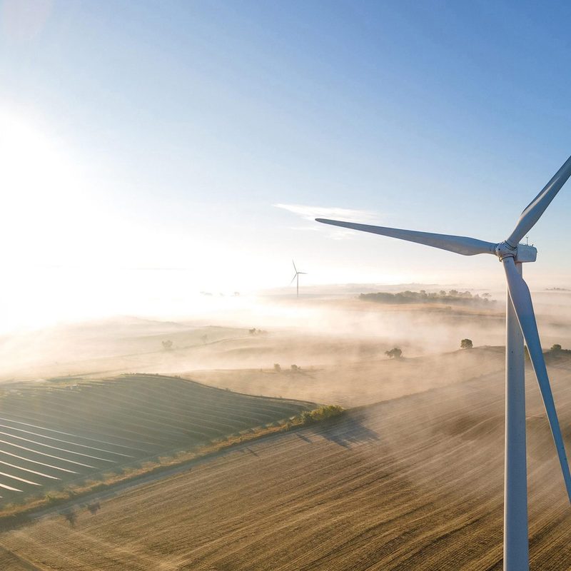 Carleton recognized with Climate Luminary Honors for outstanding ...