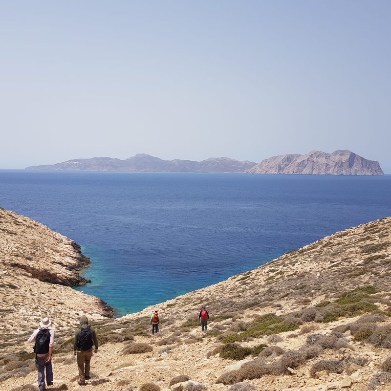 Carls in the Cyclades: Jesse Cogan ’27 and Bianca Lott ’26 join Alex ...