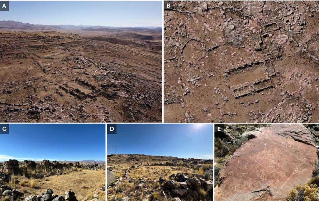Academics at Work: Sarah Kennedy’s environmental archaeology research ...