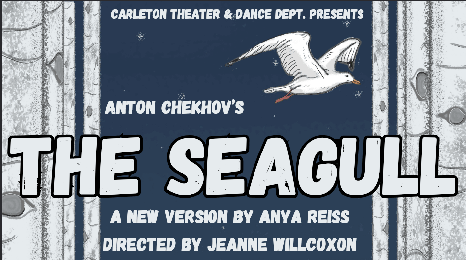 seagull play