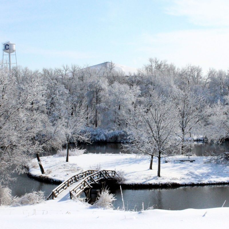 Week Eight TRIO Update: Cookies with Dacie Moses, Registration, and More!