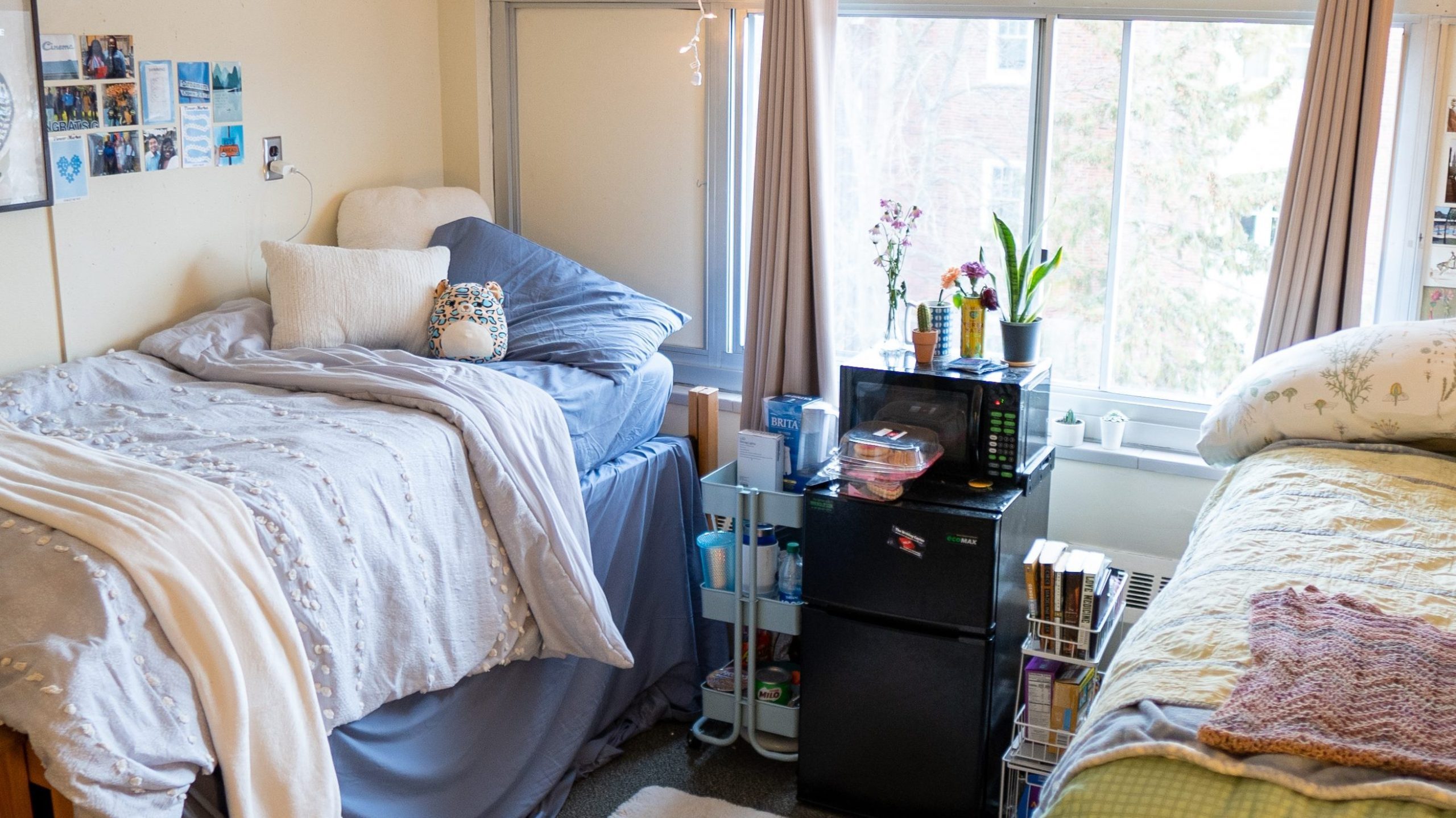 Office of Residential Life & Housing – Carleton College