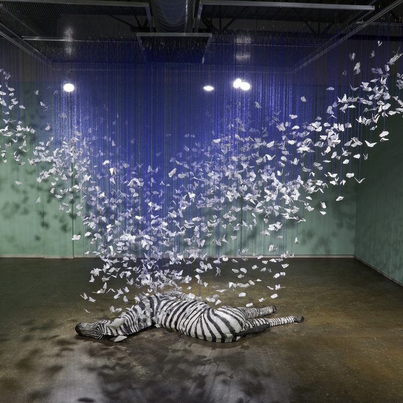 Kelly Connole – SEE: New Work by Studio Art Faculty – Carleton College