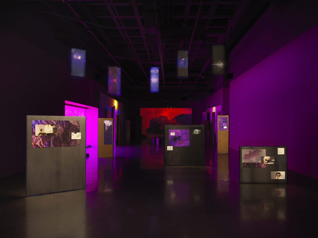 Grant will fund art exhibit exploring traditions of communal song and ...