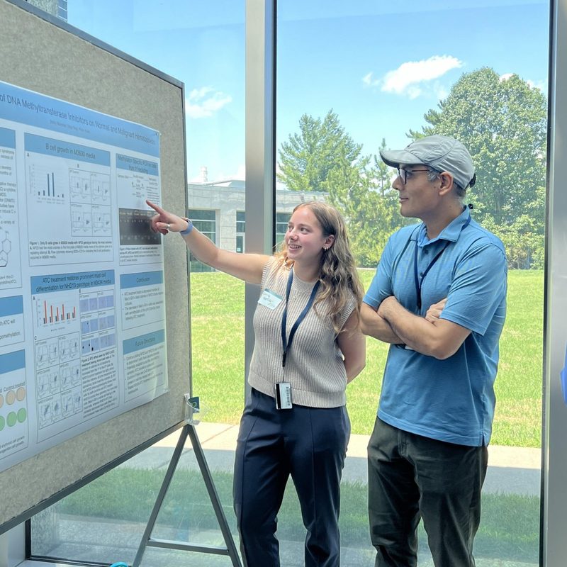 Applying STEM studies to cancer research – Giving to Carleton ...