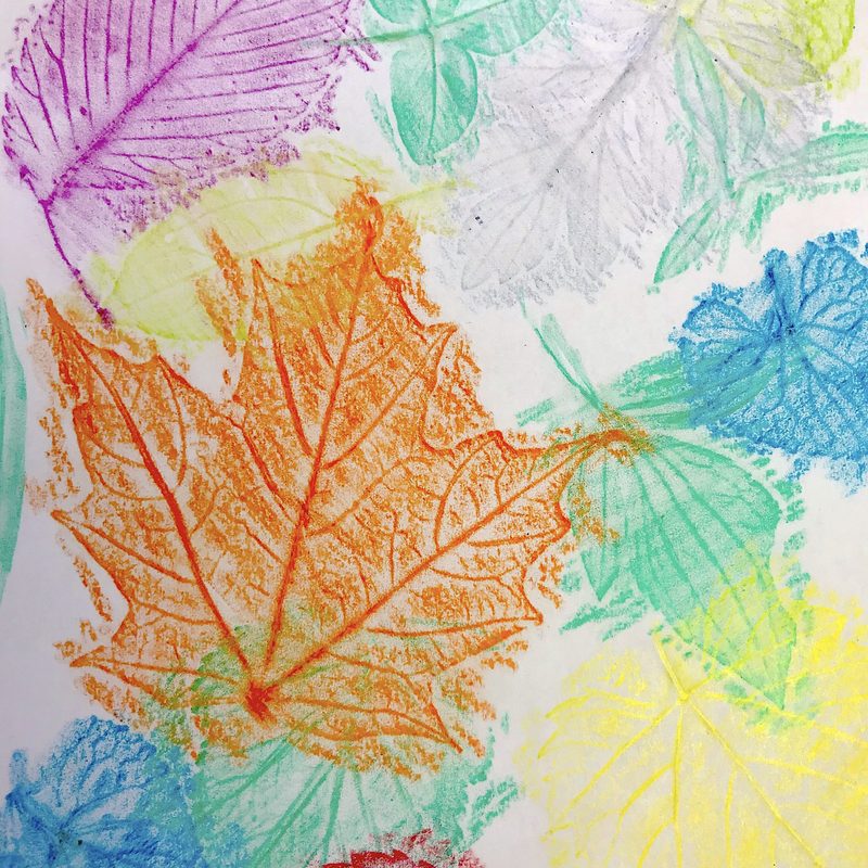 Fall Colors and Falling Leaves – Cowling Arboretum – Carleton College