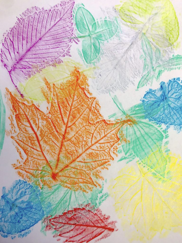 Fall Colors and Falling Leaves – Cowling Arboretum – Carleton College