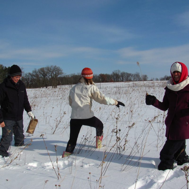 Biology – Cowling Arboretum – Carleton College
