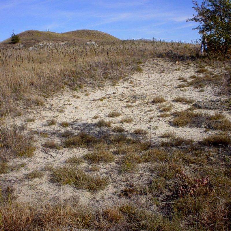 Arb Notes for October 21 – Soils of the Prairie – Cowling Arboretum ...