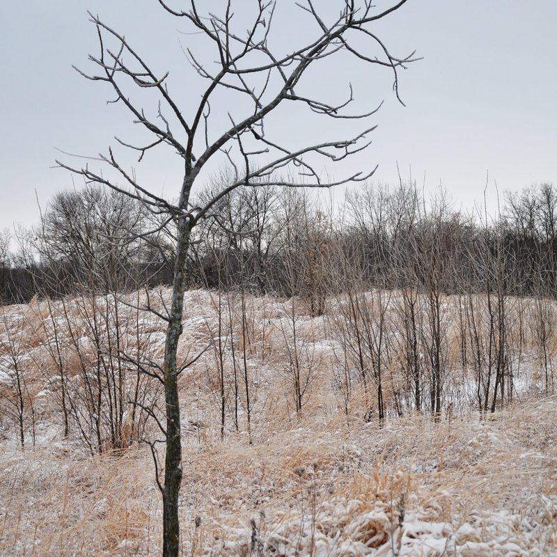 Arb Notes for Feburary 24th – What Does “Natural” Mean? – Cowling ...