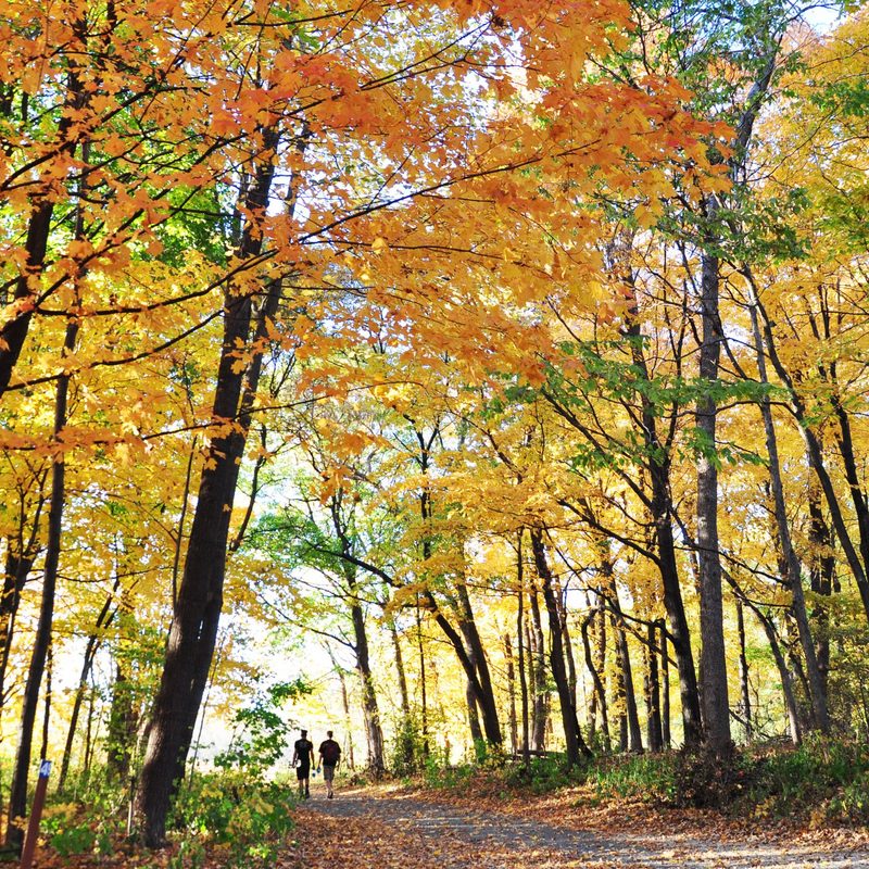 Arb Notes for October 12th – Autumn Colors – Cowling Arboretum ...