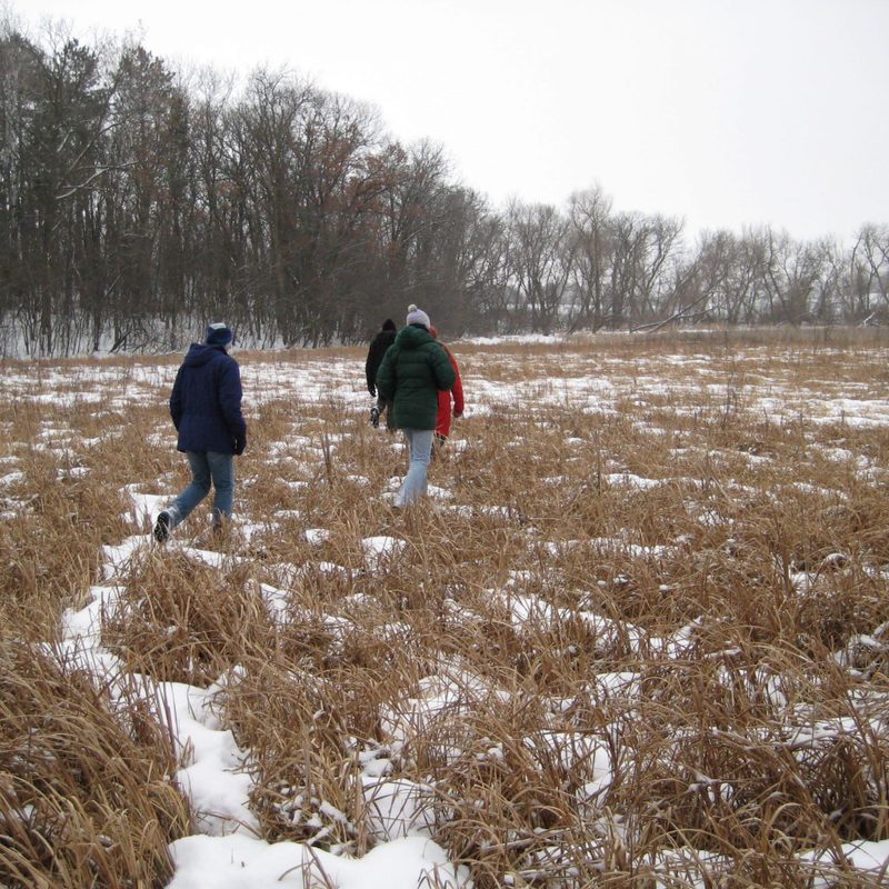 Kettle Hole Marsh: 10,000 Years in the Making – Cowling Arboretum ...
