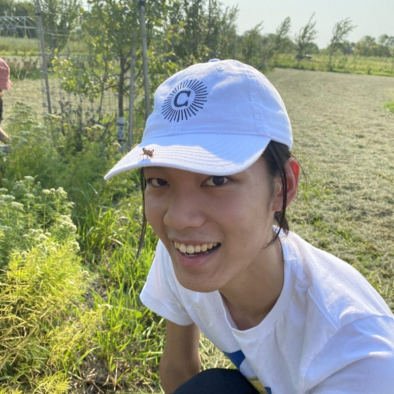 “That’s how I learned—working alongside others:” Liwei Weng and Mimi ...