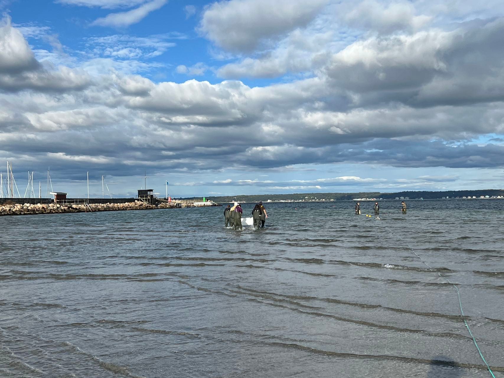 Off-Campus Studies – Carleton College