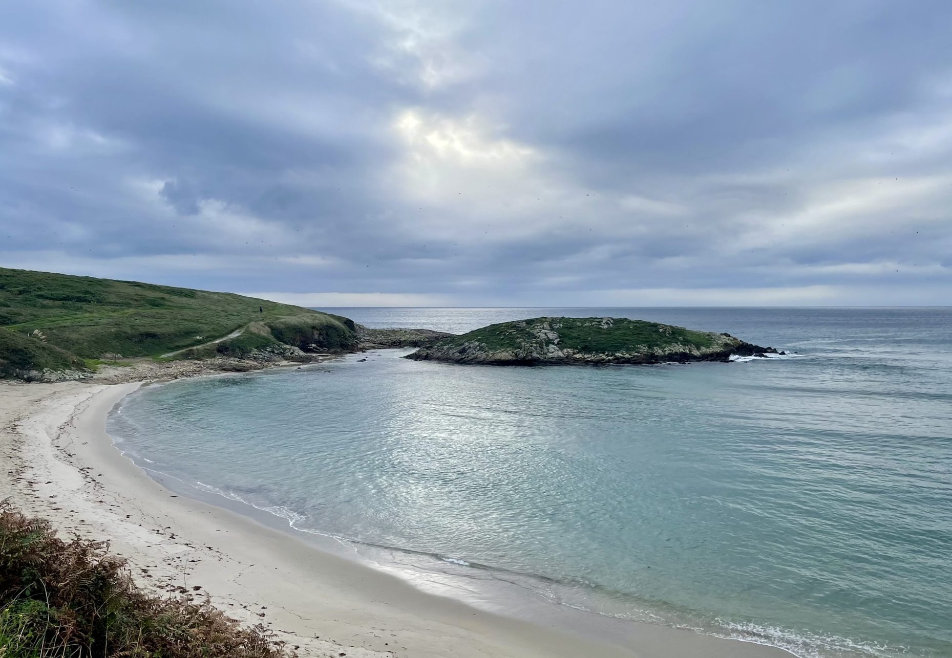 Off-Campus Studies – Carleton College