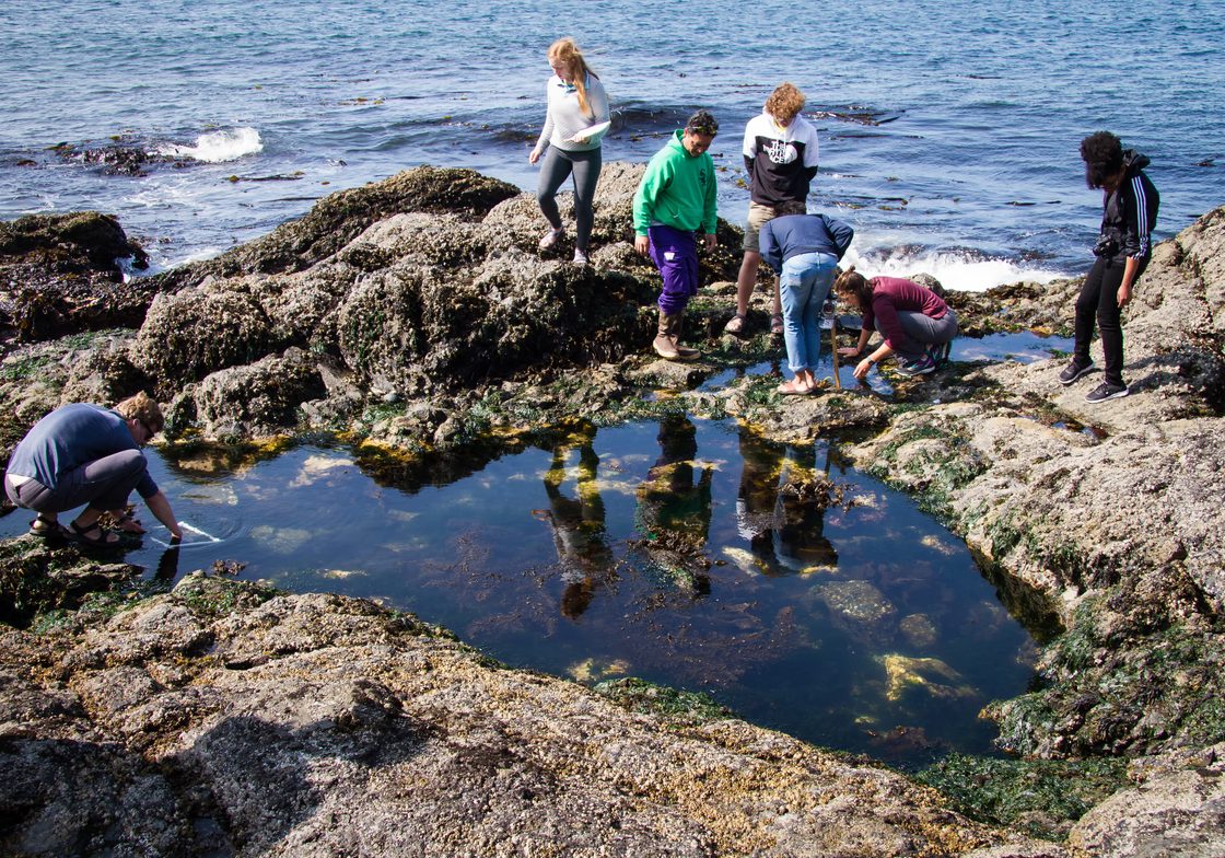 peter stone carleton