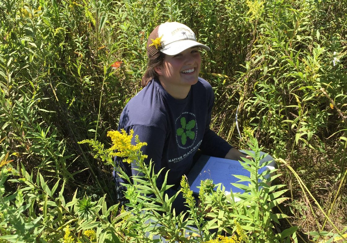 peter stone carleton