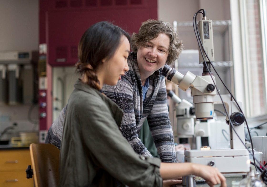 peter stone carleton