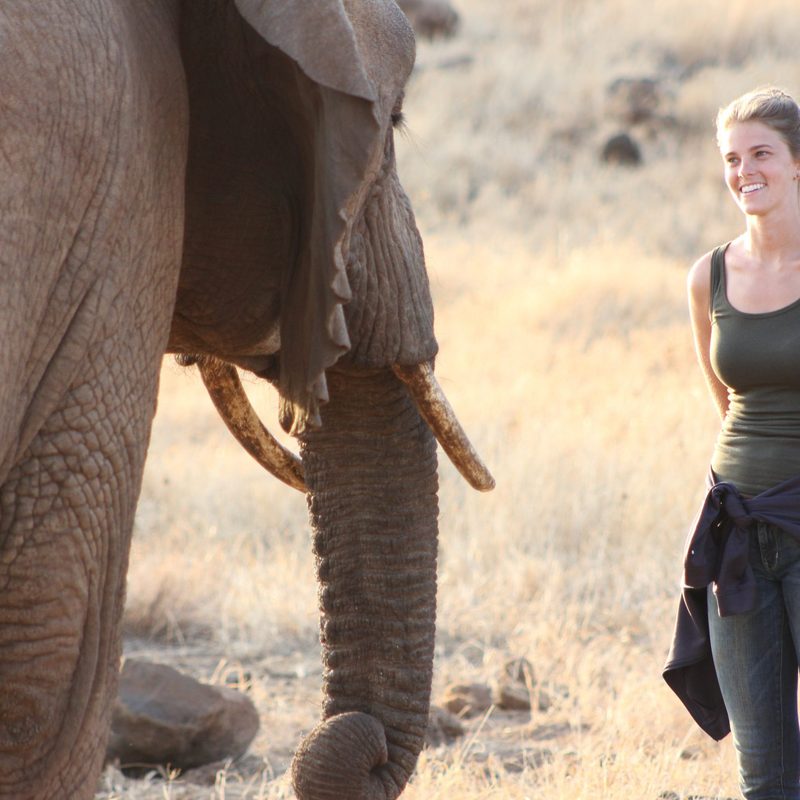 Summer intern profile: Lydia Henderson ’16 – Career Center – Carleton ...