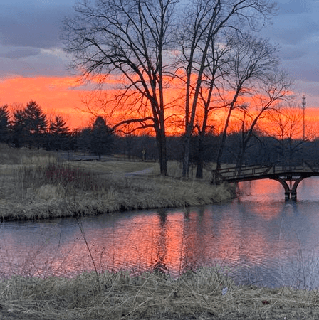 MUPC 2024 — see link for MUPC 2025! – Psychology – Carleton College