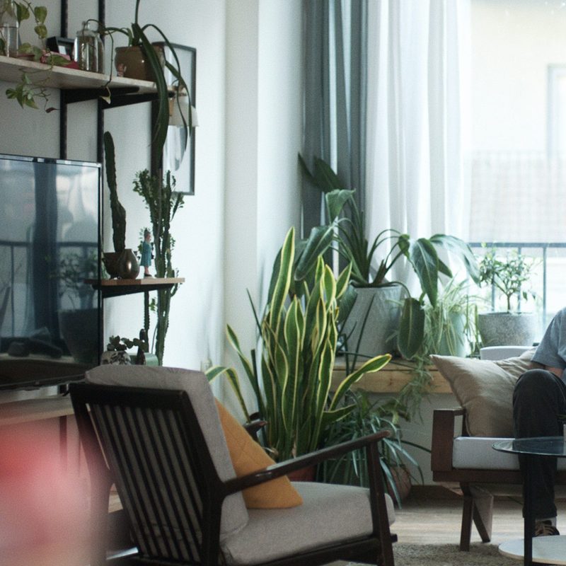 Concerned Citizen – International Film Forum – Carleton College